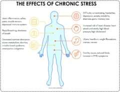 Chronic Stress in Air Traffic Controllers: Causes, Consequences, and ...